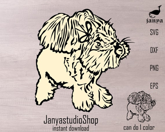 Rabbit face svg english angora SVG rabbit head rabbit house - Etsy México