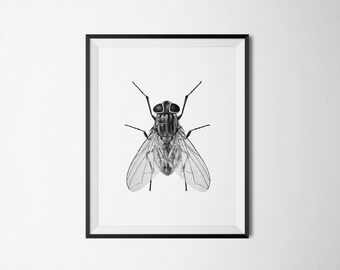 Insect print | Etsy