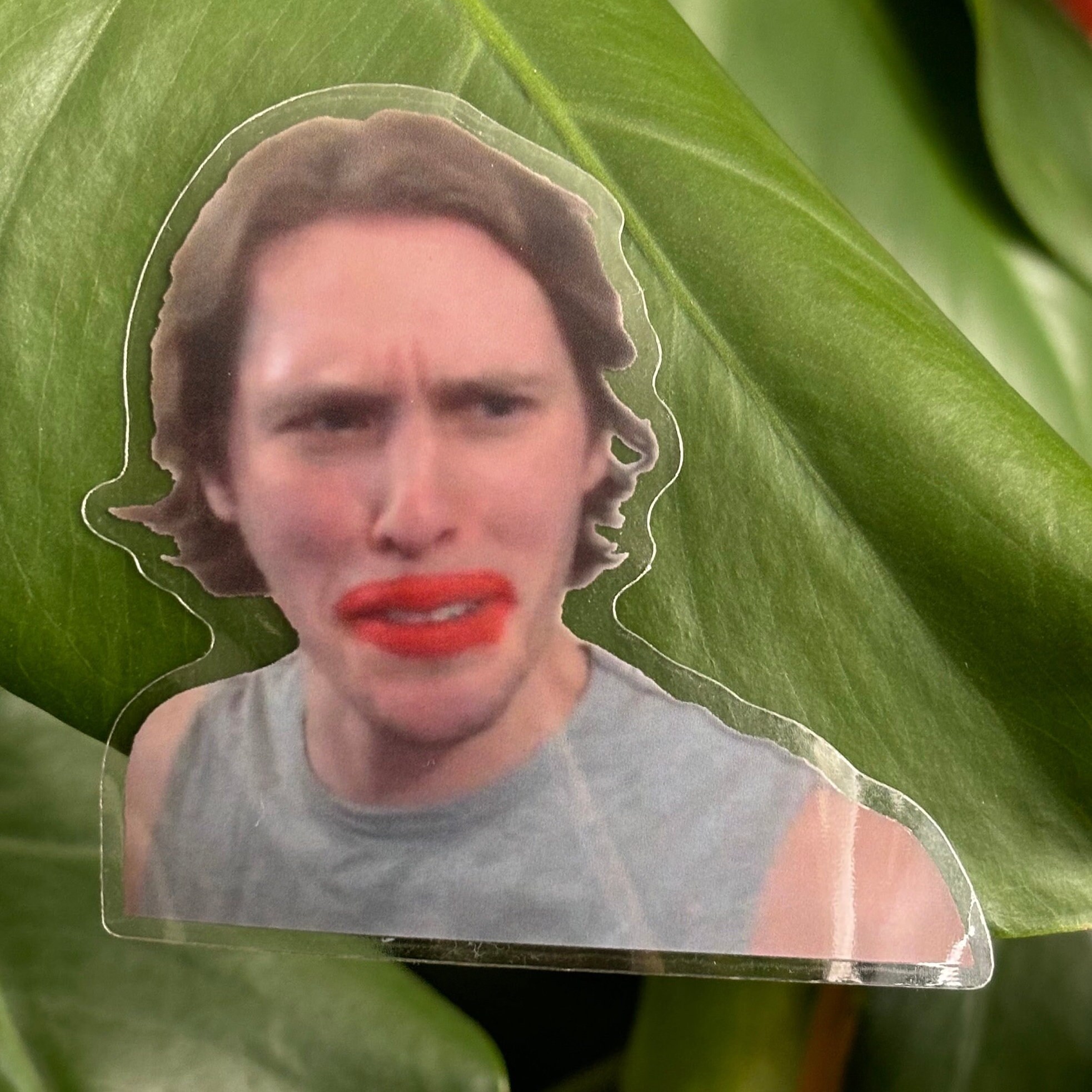 3 Jerma985 Clear Sticker Destoryed on Red Wine - Etsy