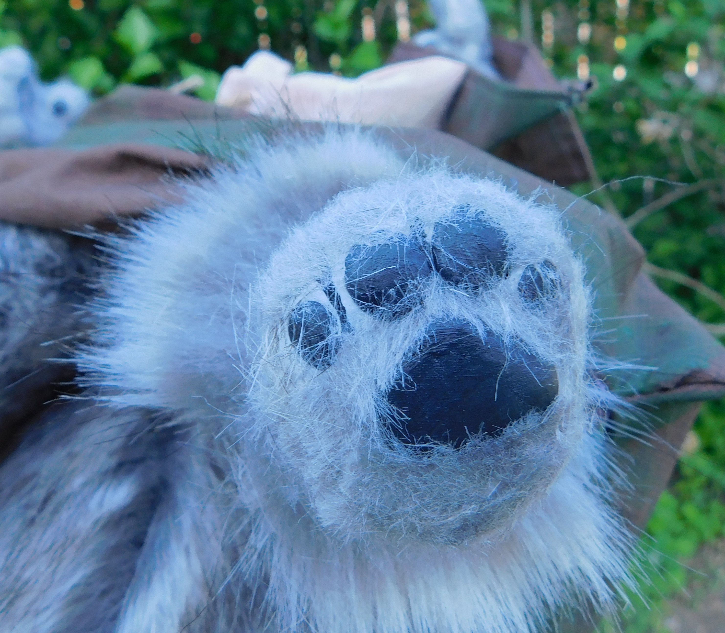 Palikan the Pallas Cat Wizard - Etsy