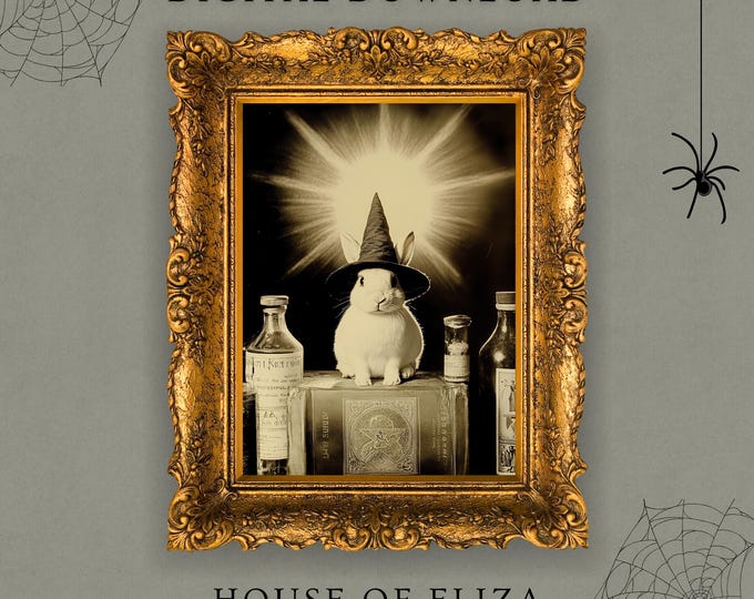 Vintage White Witch Rabbit Cabinet Card Style Print | Gothic Witchy ...