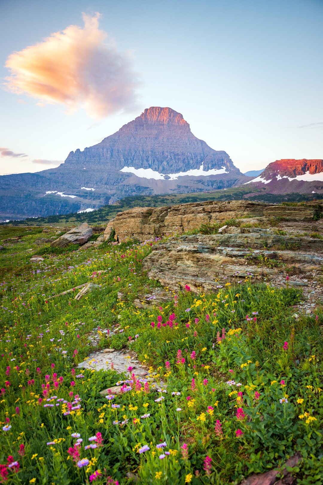 Glacier National Park Wildflower Fine Art Print, Hidden Lake Overlook ...