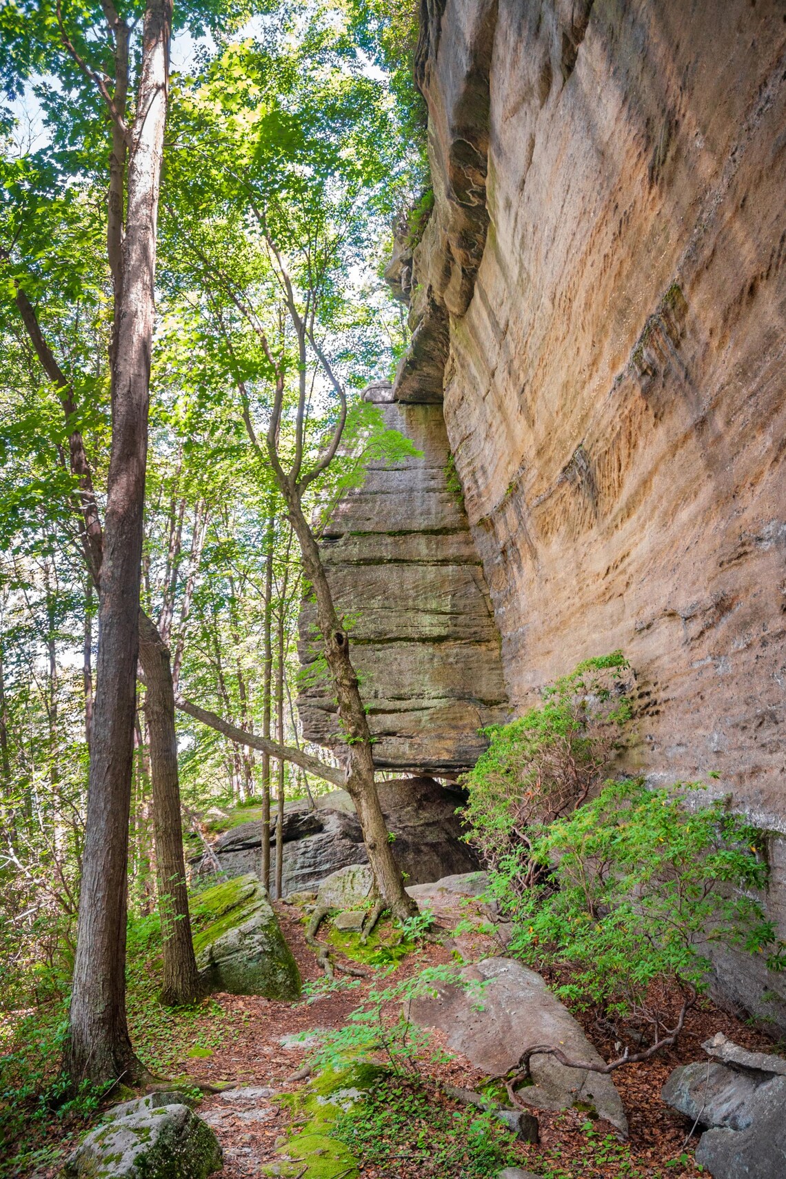 Rimrock Trail - Allegheny National Forest, Photography Print - Etsy