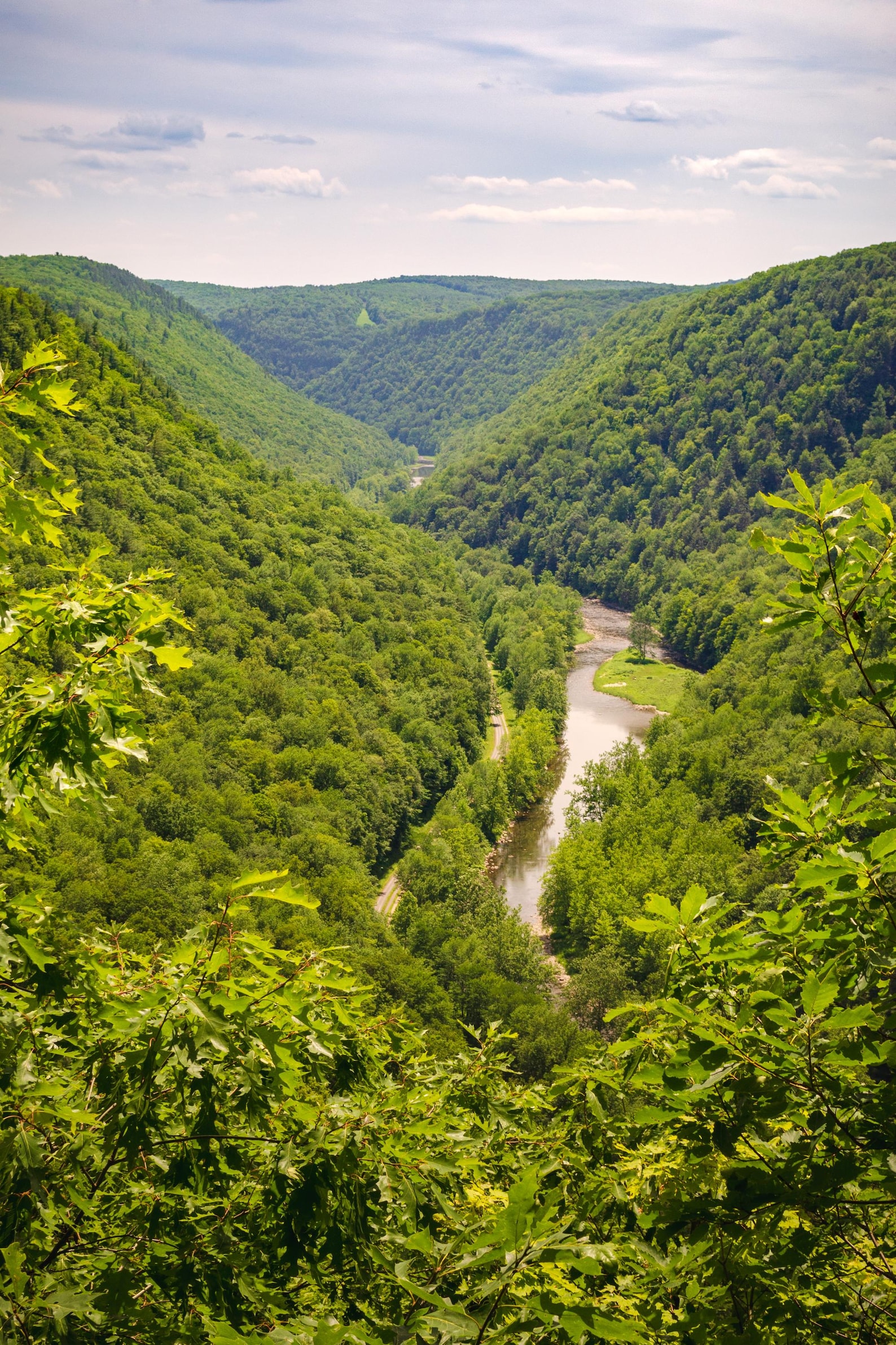 Pennsylvania Grand Canyon Print – Pine Creek Gorge Scenic Wall Art - Etsy