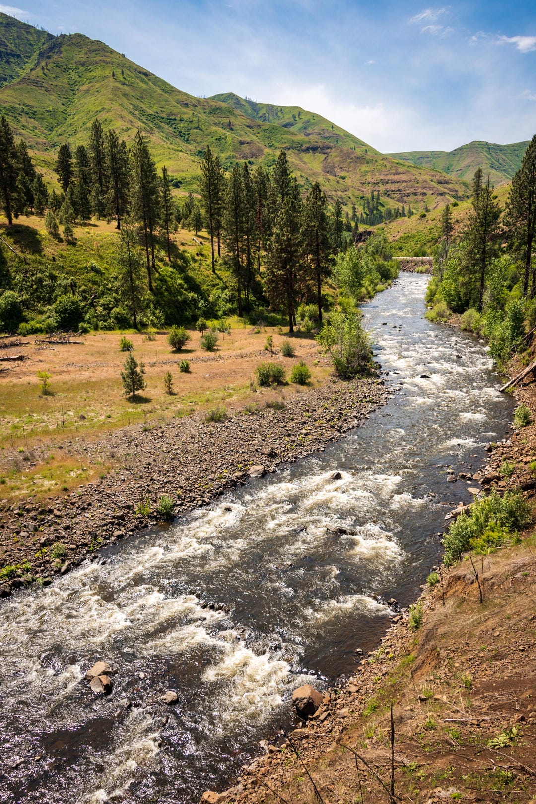 Snake River Flow - Hells Canyon National Recreation Area Fine Art Print ...