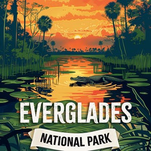 Everglades National Park Poster - Etsy
