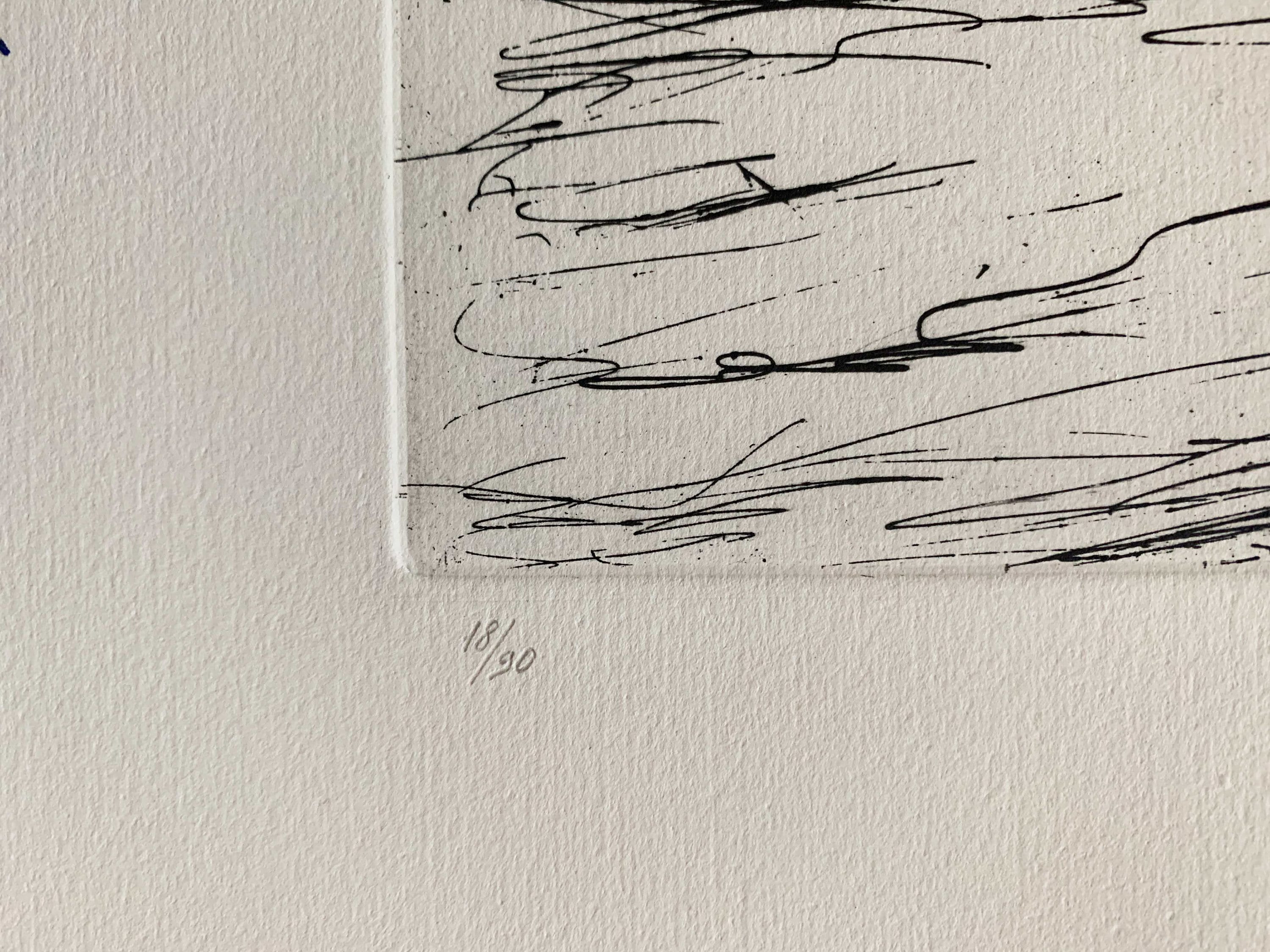 Enzo Faraoni Etching Acqua Tra Le Case 65x46 Signed Numbered 18/90 - Etsy