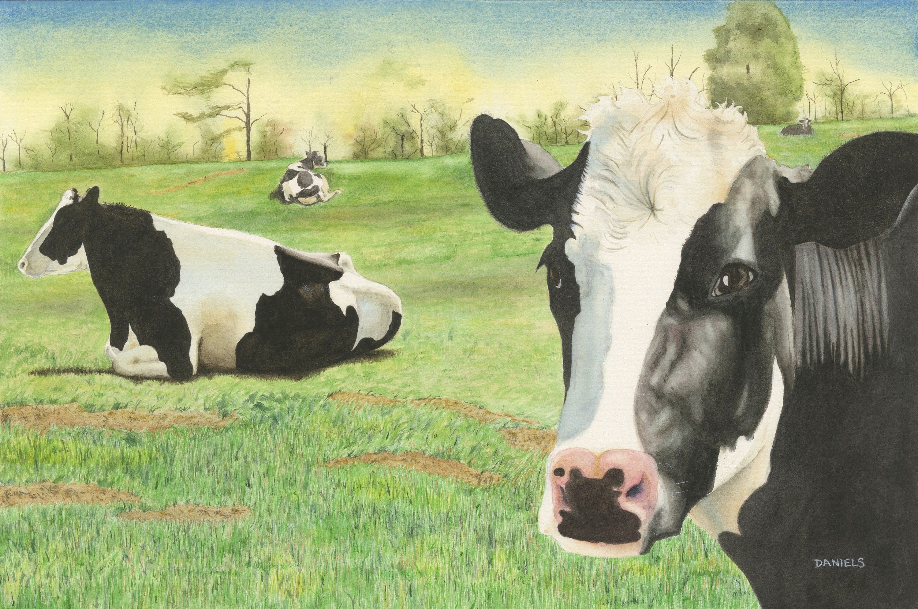 Kitchen Art, Modern Farmhouse Decor, Cow Art, Cow Print, Home Decor ...