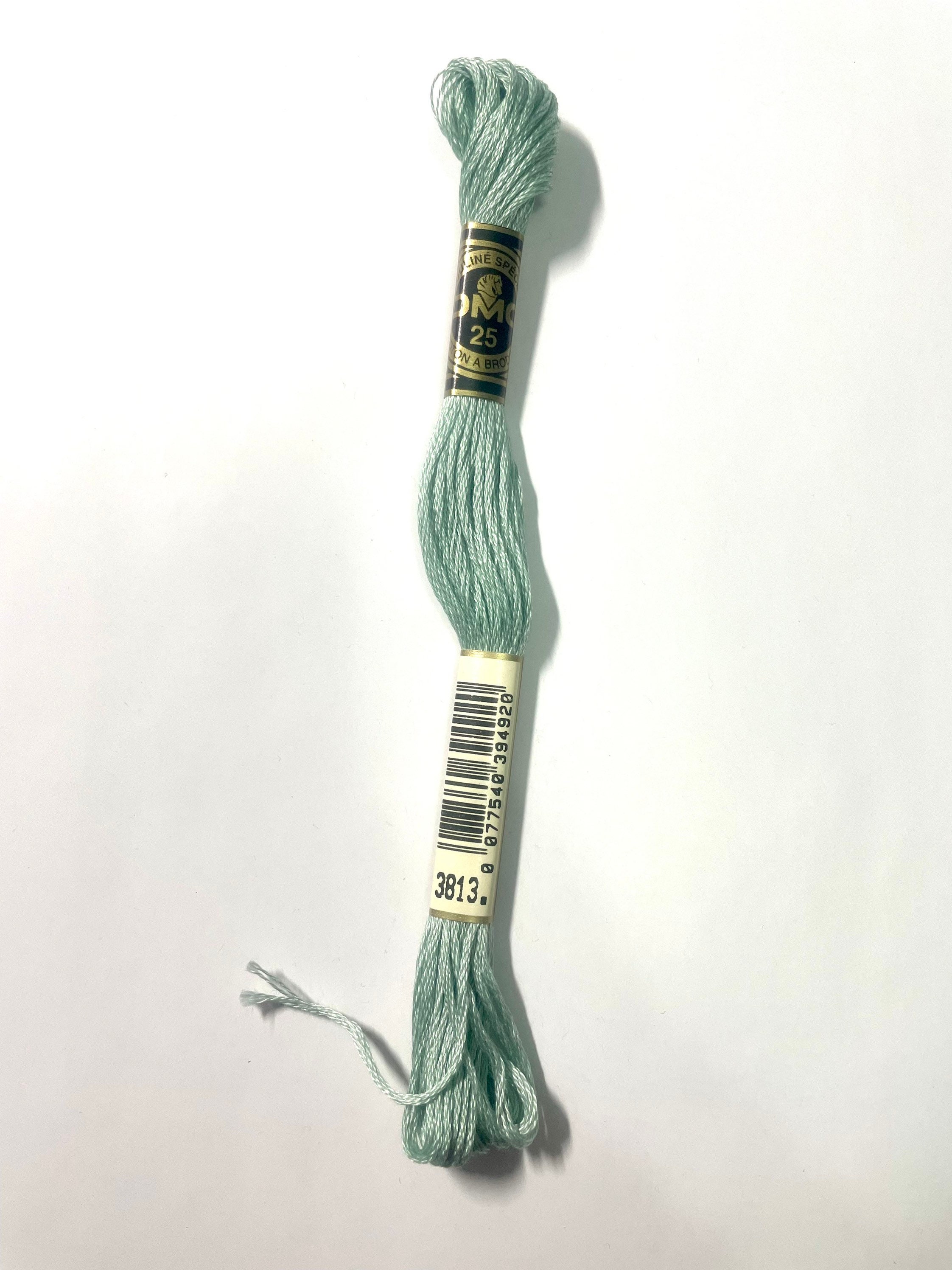 DMC 3813 Cross Stitch and Embroidery Floss - Etsy