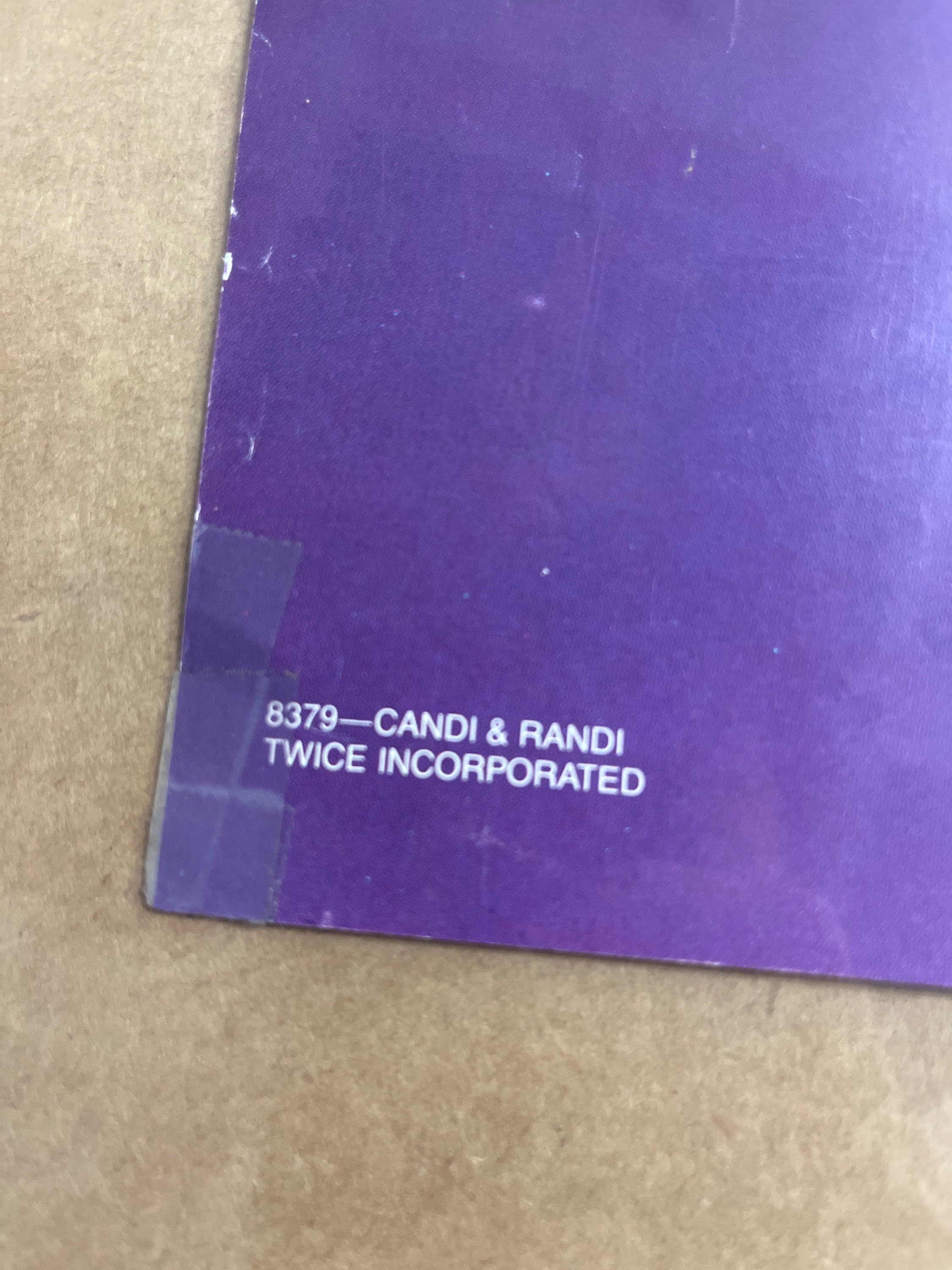 Original 1984 Candi and Randi Poster - Etsy