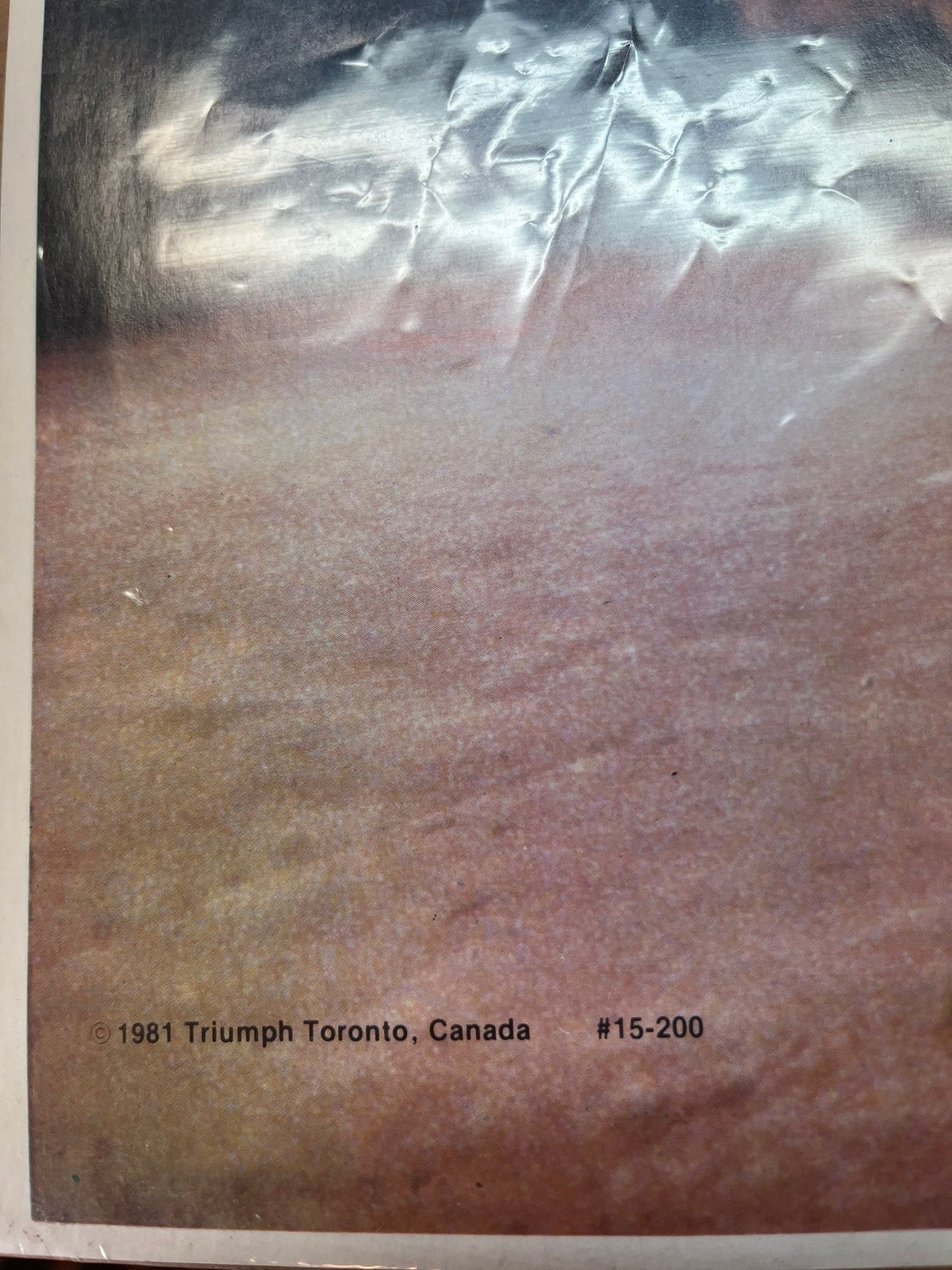 Original Vintage 1991 TRIUMPH Concert Shot Poster - Etsy