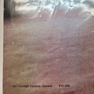 Original Vintage 1991 TRIUMPH Concert Shot Poster - Etsy