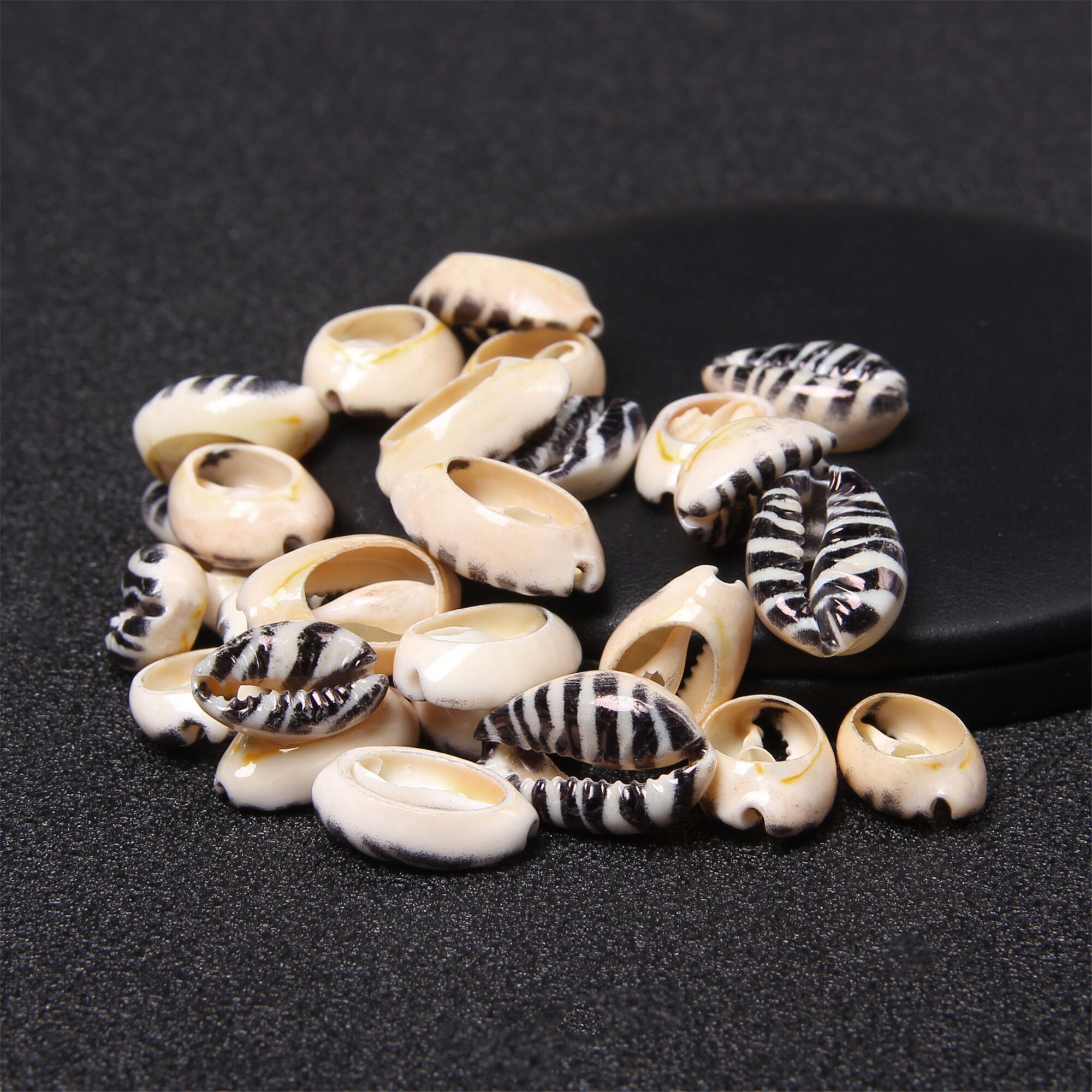 5/10pcs Natural Shell Beads Black Zebra Stripe Cowire Shell - Etsy