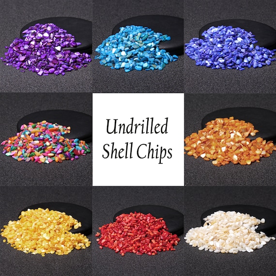 50/100/200G Multicolor Dyed Chips Natural Freshwater Shell | Etsy