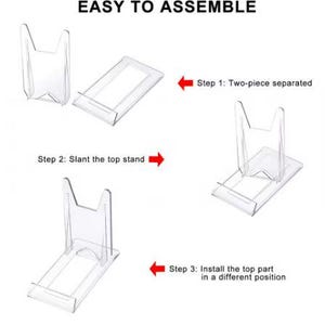 Salamander Replica From Messel Germany in Museum Quality; Reptil Animal ...