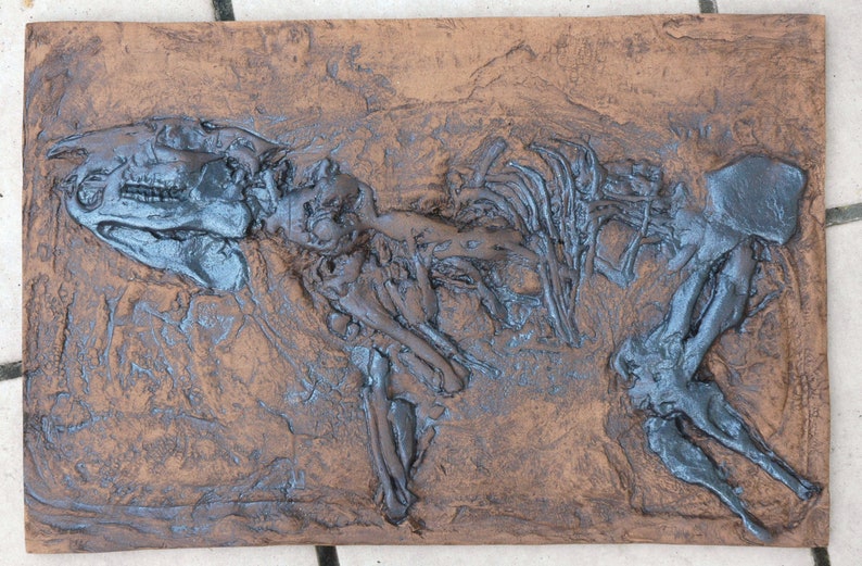 Mammal Propalaeotherium Fossil Replica in Museum Quality. Horse Messel ...