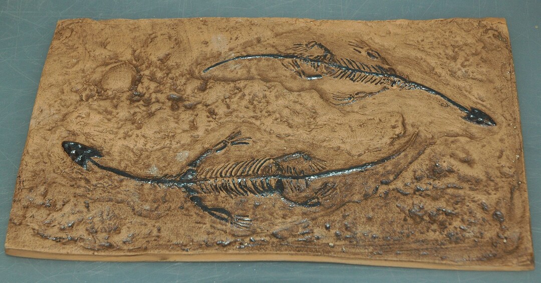 Fossil Replica Keichousaurus - Etsy