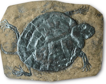 Salamander Replica From Messel Germany in Museum Quality | Etsy