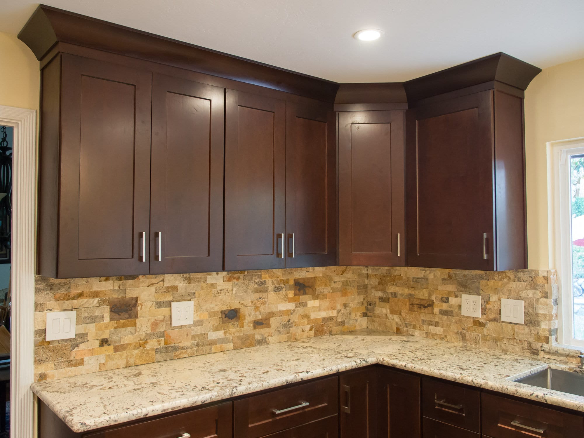 Mammal Miacis Fossil Replica in Museum Quality. Animal Fossil - Etsy