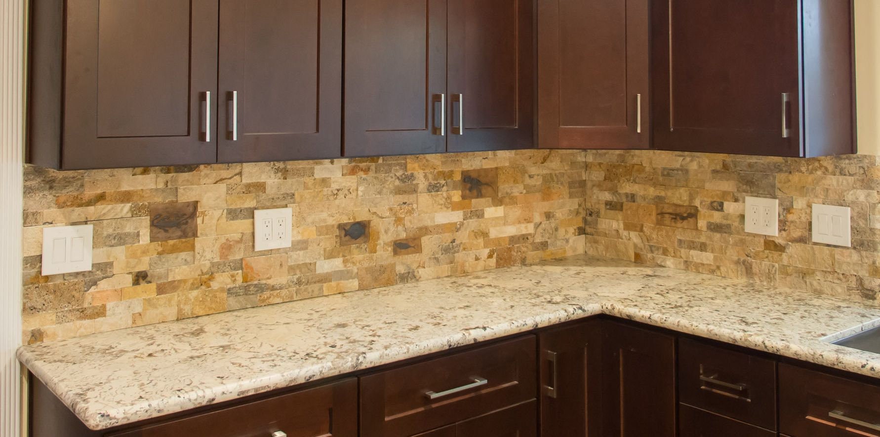 Mammal Ida ape lemur Fossil Replica in Museum Quality. Animal | Etsy