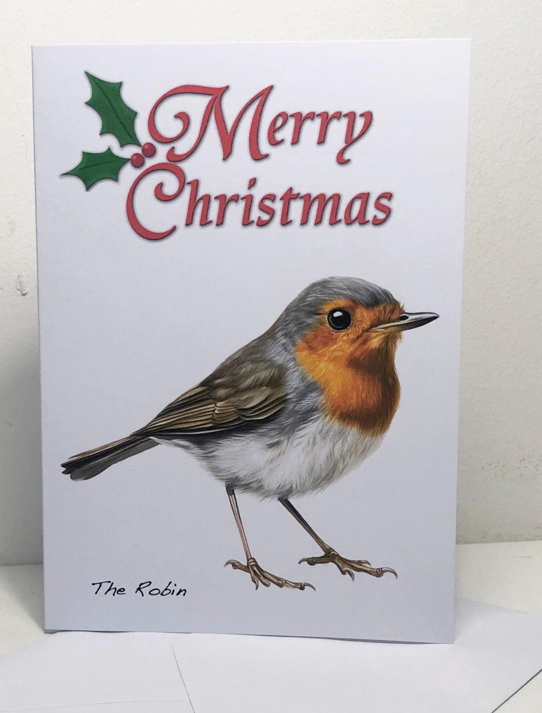 The Robin Christmas Cards (5x7in) and Envelope: Seasons Greetings or ...