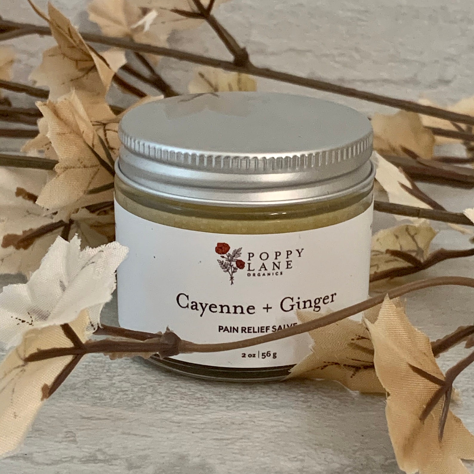 Cayenne Ginger Pain Relief Salve Sore Muscle Salve | Etsy