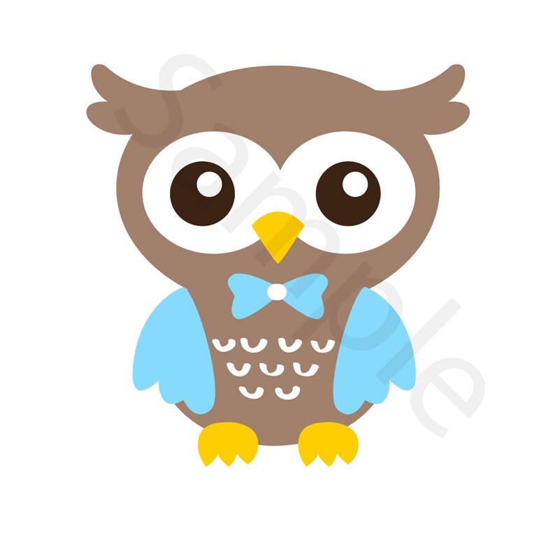 Colorful Rainbow Cute Owls Clipart Set in a PNG Format. Personal ...