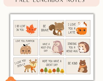 Lunch Box Notes for Kids, Lunchbox Notes for Girls, Positive ...