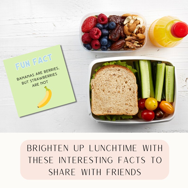 Printable Lunchbox Notes, Printable Lunch Notes, Lunchbox Notes, Lunch ...