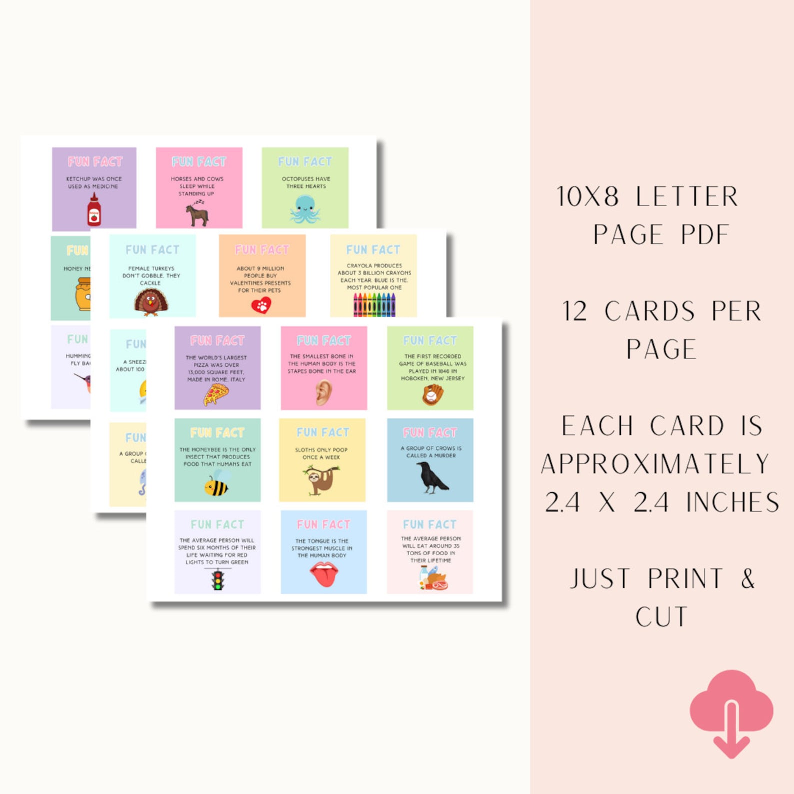 Printable Lunchbox Notes: Fun Facts & Affirmations (PDF) - Etsy