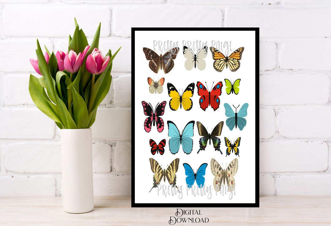 Collage de mariposas de colores - Etsy México
