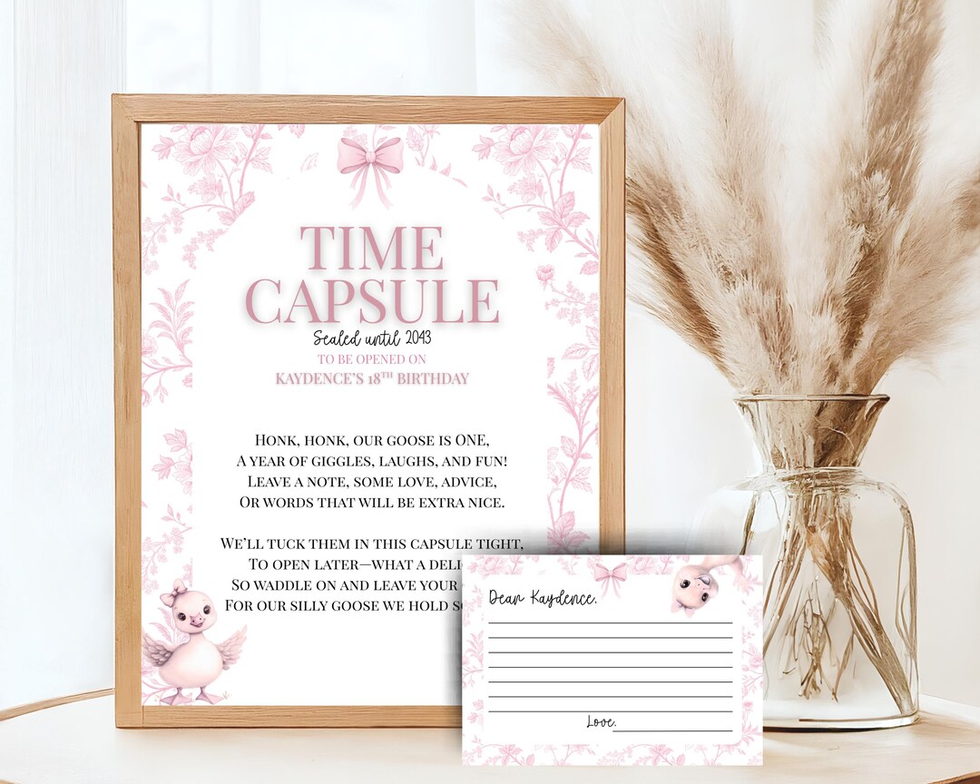 Silly Goose Birthday Time Capsule Sign and Cards, One Silly Goose Time ...