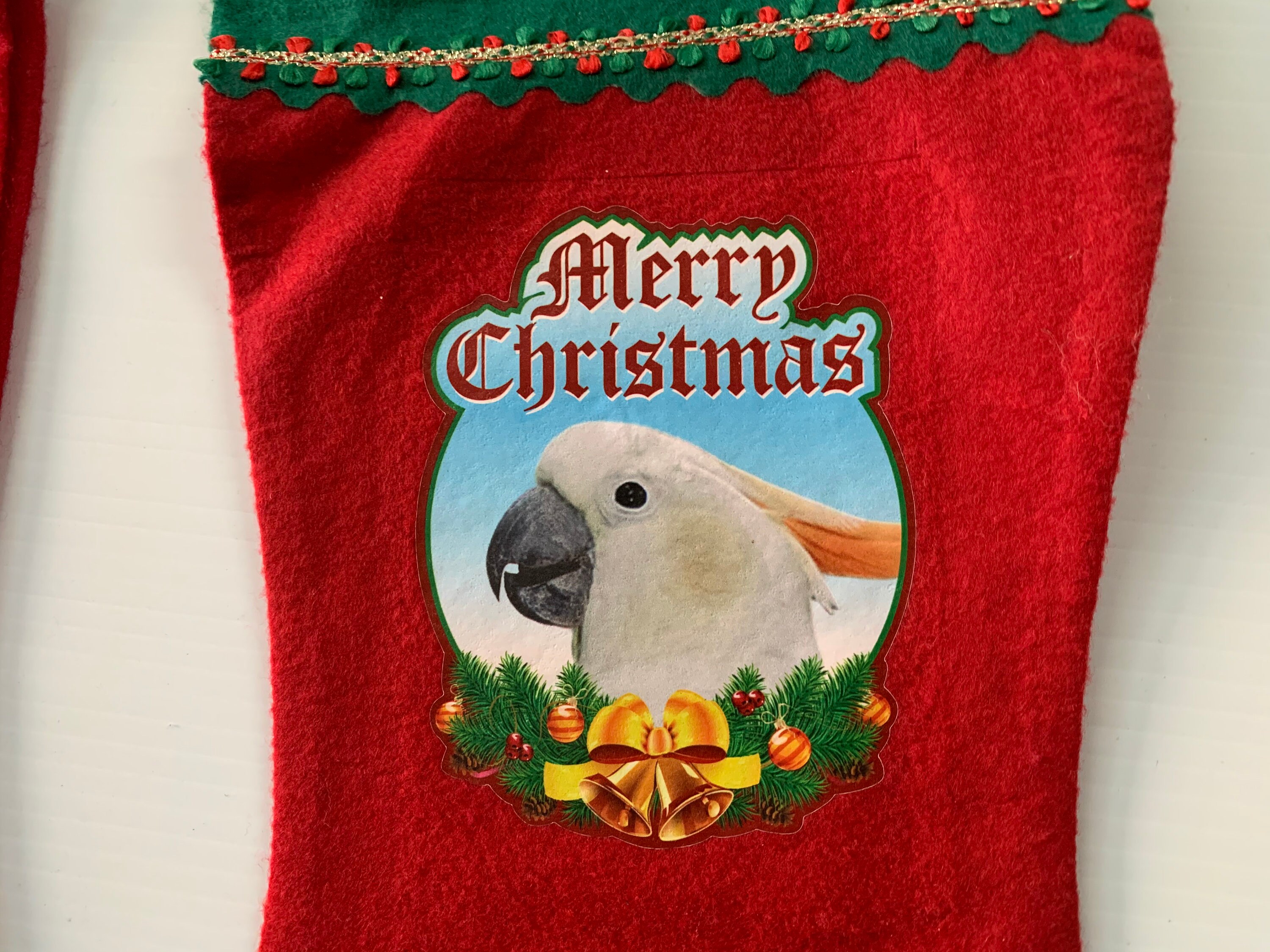 Parrot Exotic Bird Holiday Christmas Stockings 46 Breeds - Etsy UK