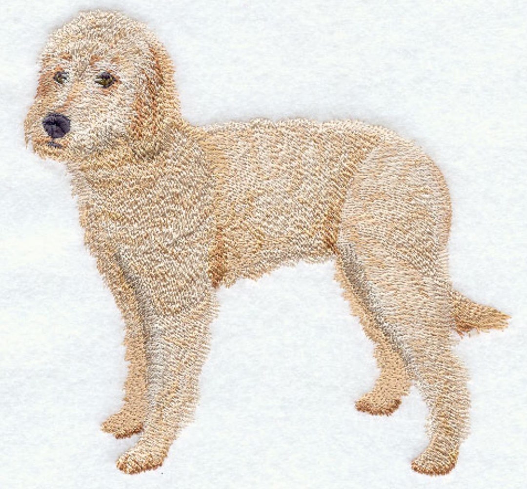 Labradoodle Embroidered Towel Hand Towel Kitchen Towel Waffle Weave ...