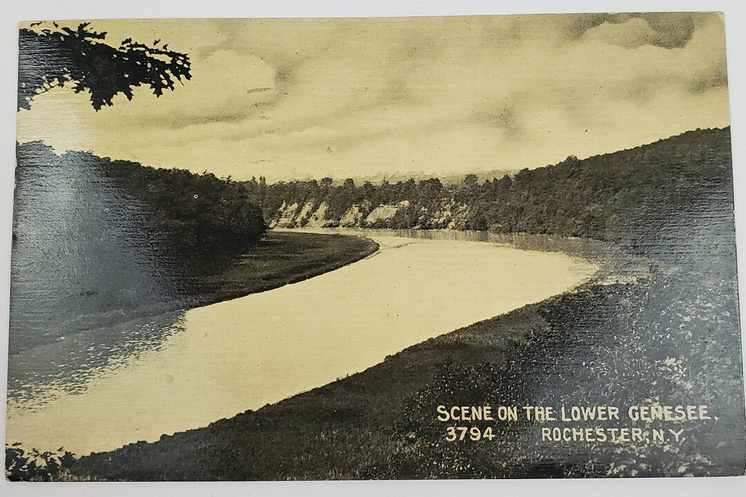 Postcard NY Scene on the Lower Genesee Rochester New York - Etsy