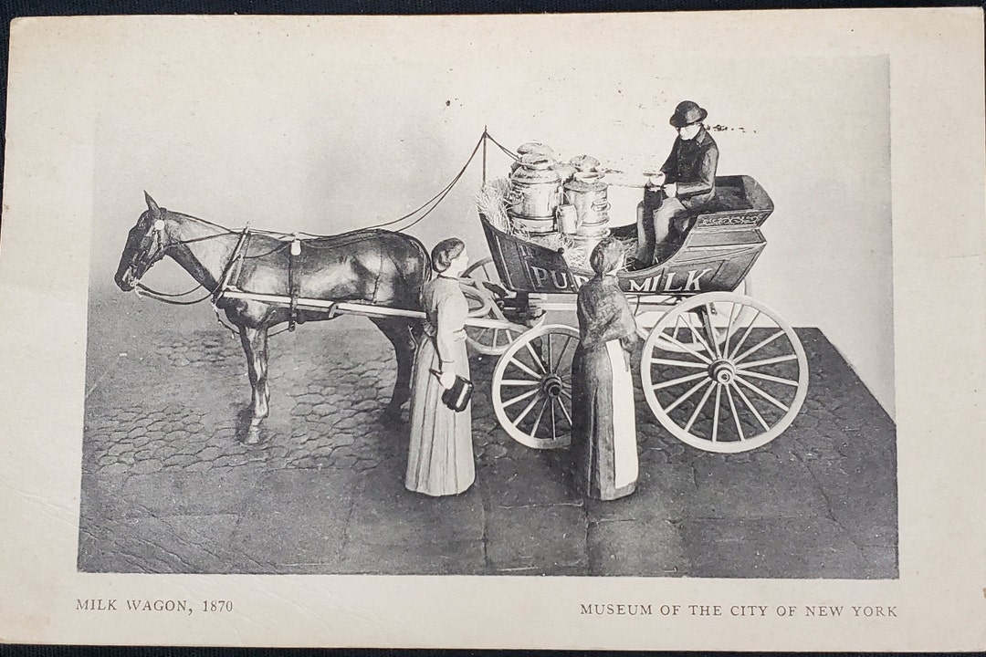Postcard NY Milk Wagon 1870 Museum of the City of New York - Etsy