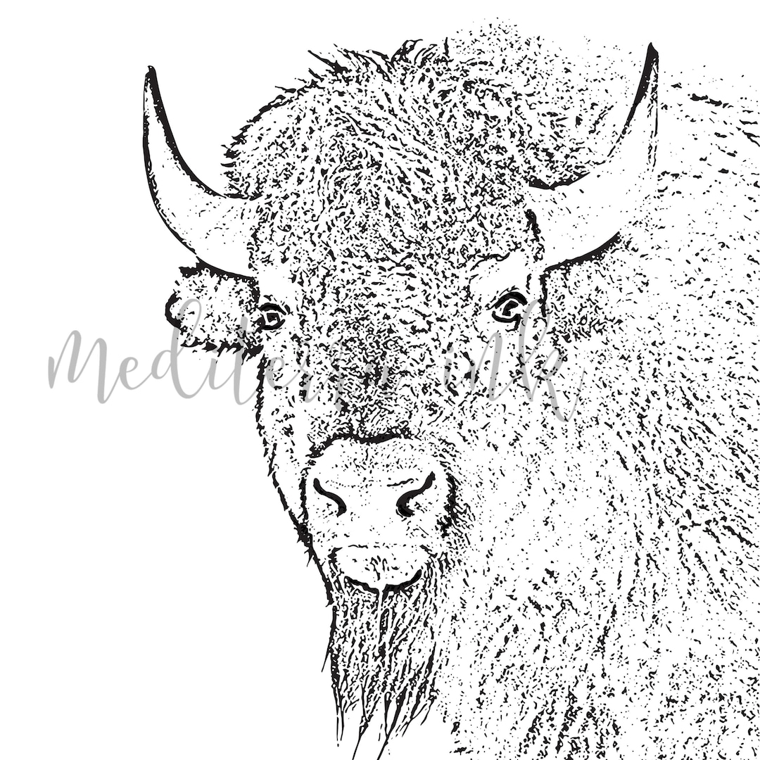 Buffalo Print | Bison Print | Buffalo Art | Animal Prints | Animal ...