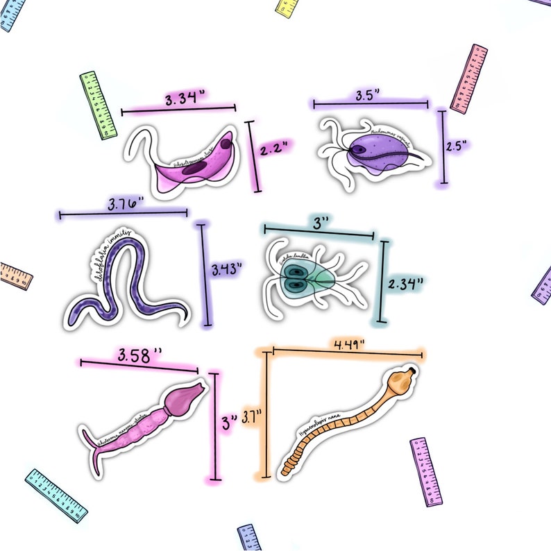 Parasite Sticker Collection, Gift for Parasitologist, Biology Stickers ...