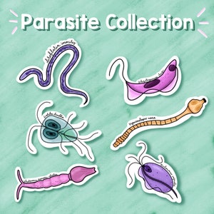 Parasite Sticker Collection, Gift for Parasitologist, Biology Stickers ...