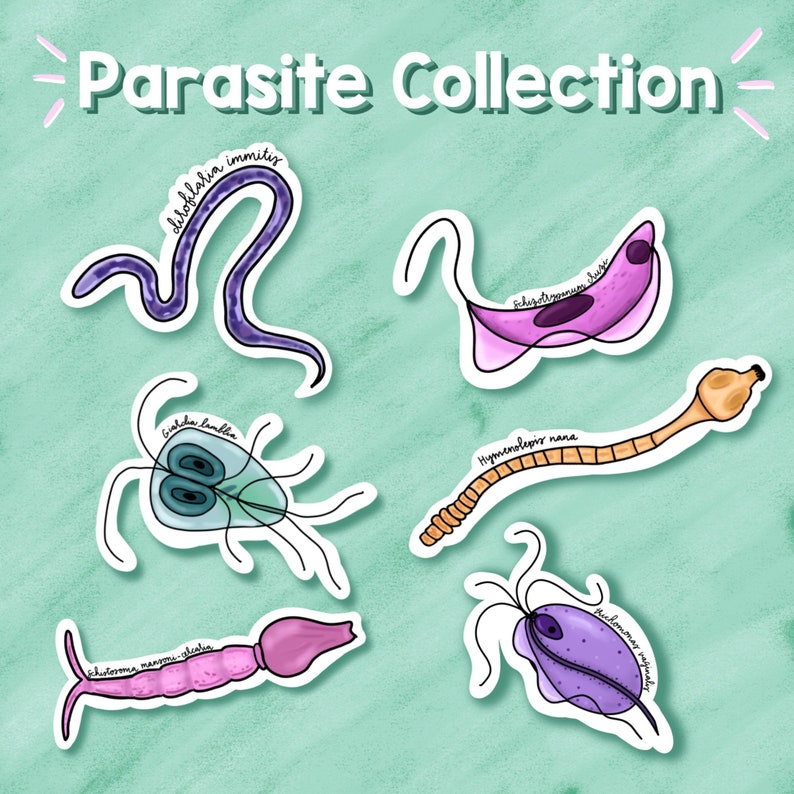 Parasite Stickers, Biology Science Decals, Waterproof Collection - Etsy