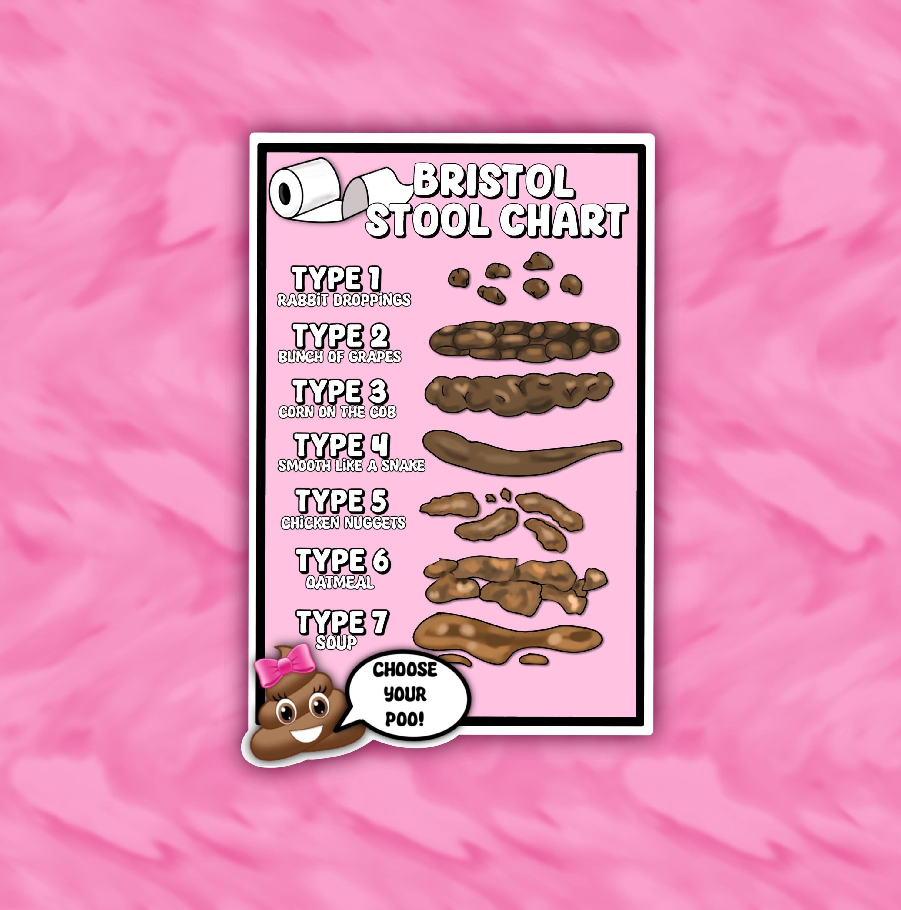 Bristol Stool Chart Funny Bristol Bowel Chart | TikTok