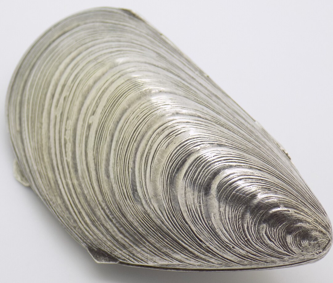 Vintage Italian Handmade Genuine Silver LARGE & RARE Mussel - Etsy