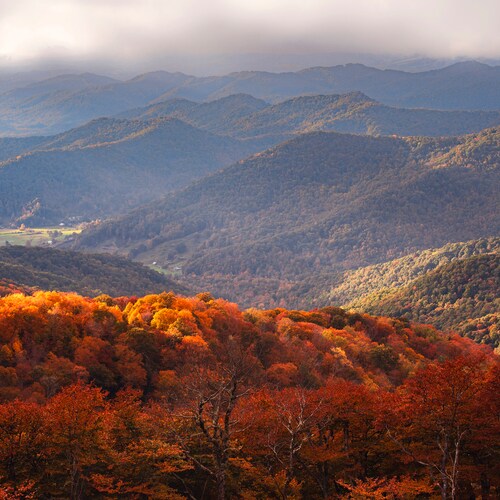 Blue Ridge Fall Hillside blue Ridge Mountains Landscape - Etsy