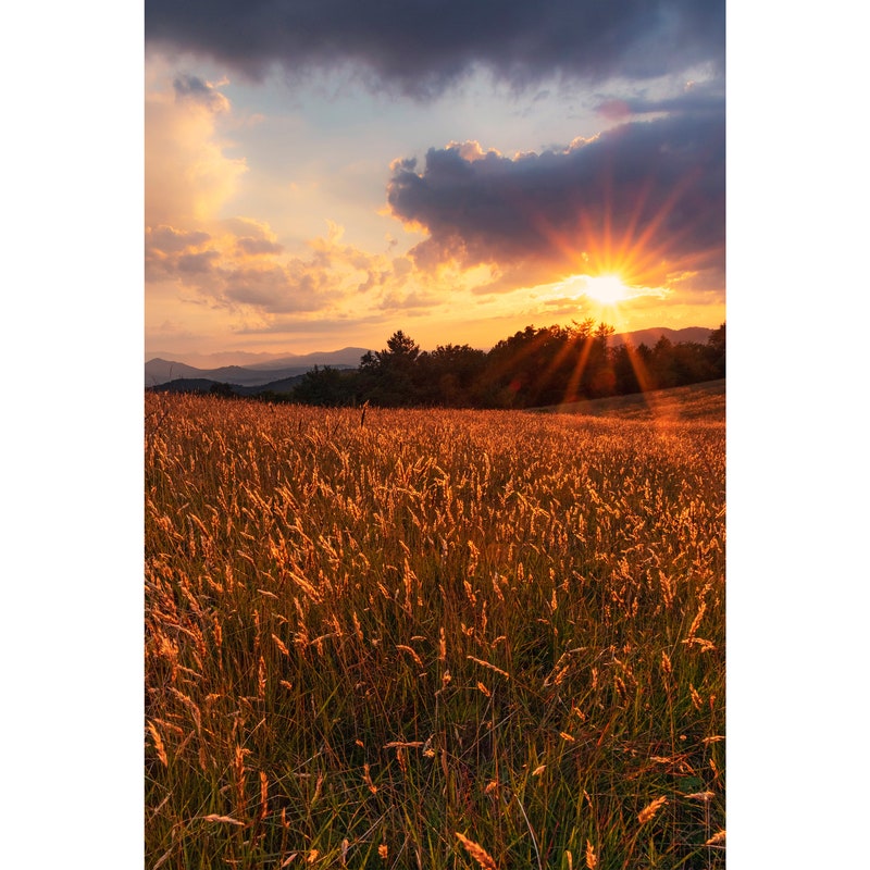 Amber Sunset - Etsy