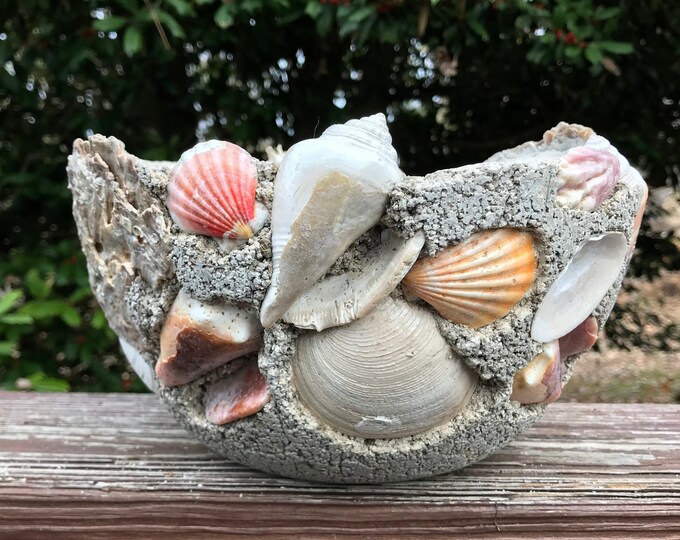 Hypertufa Shell Pot/planter/bowl, Coastal/tropical Decor, Rustic Shell ...