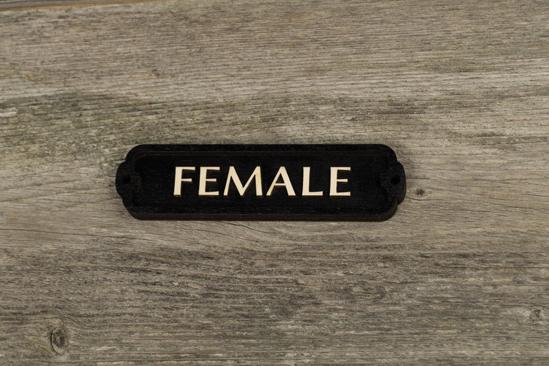 Wooden Women, Female Restroom Door Sign. Vintage British Railway Style ...