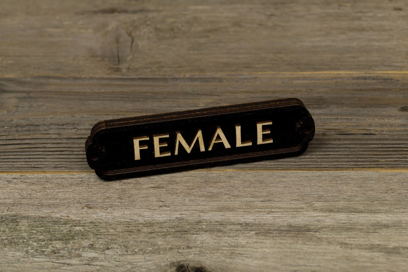 Wooden Women, Female Restroom Door Sign. Vintage British Railway Style ...