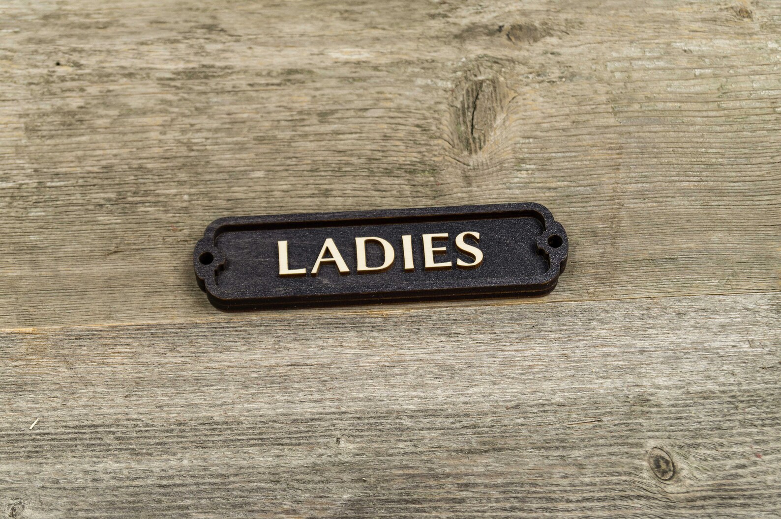 Ladies Door Sign, Toilet Door Sign, Door Plaque, Vintage Style, Railway ...