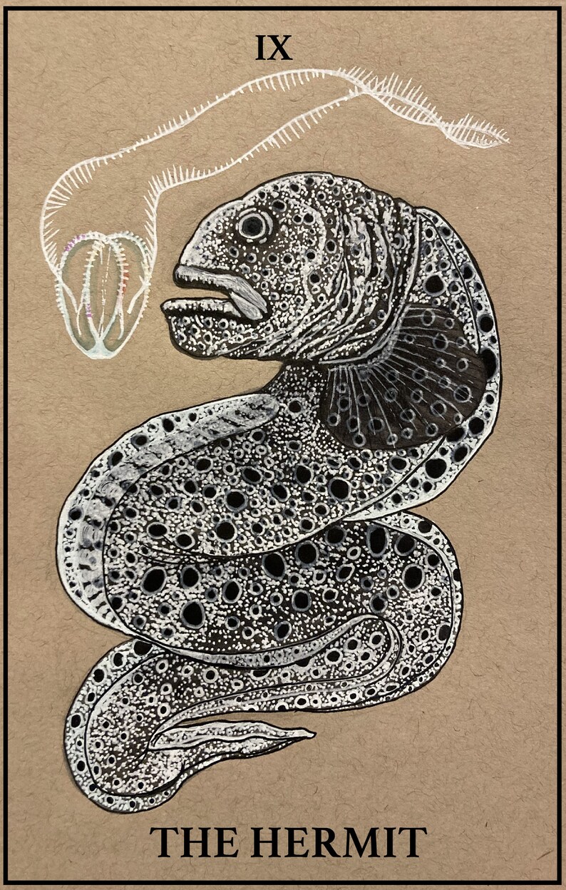 Tarocean Ocean Themed Tarot Cards/prints - Etsy