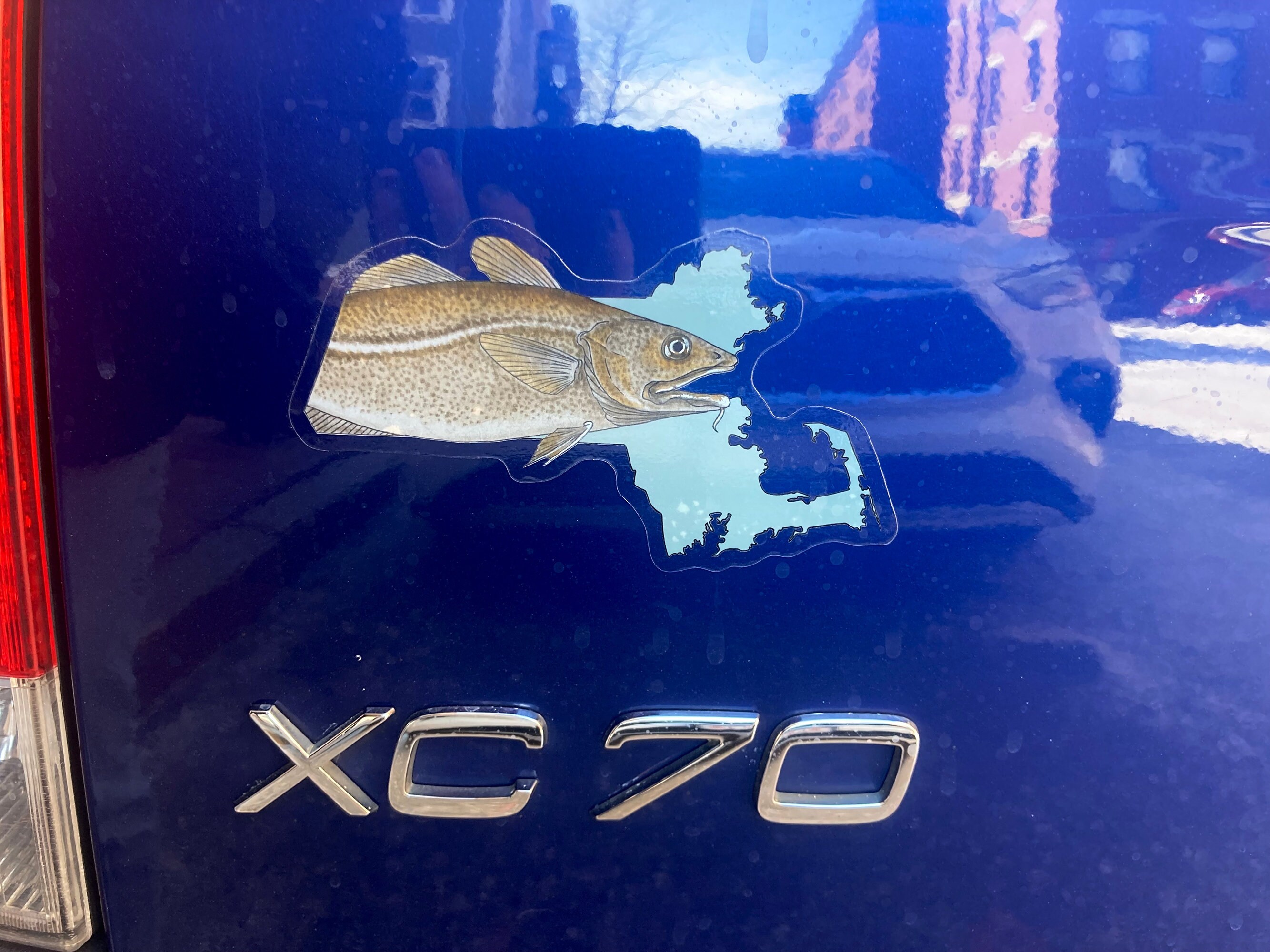 Massachusetts State Fish Sticker/atlantic Cod Decal - Etsy